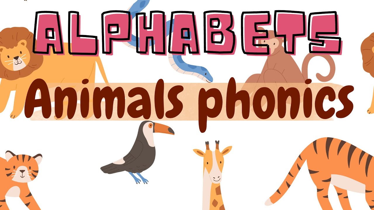 Animal phonics | animal phonics song | phonics for kids - YouTube
