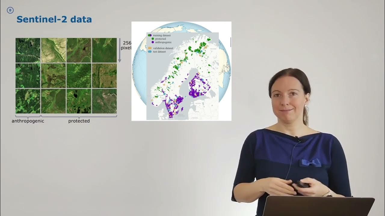 Explainable machine learning (2022, 2nd lecture): Looking into a neural ...