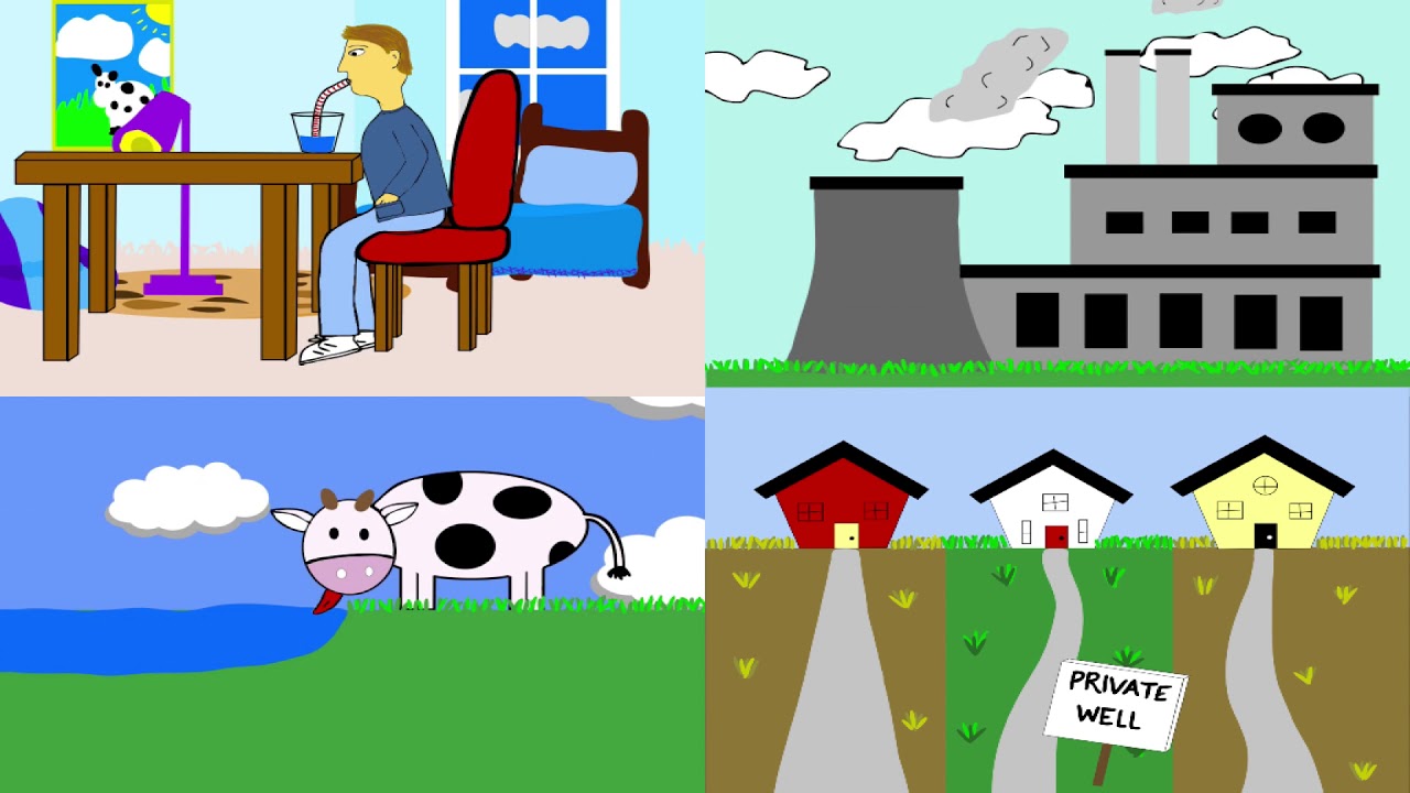 Groundwater and Surface Water Interactions - YouTube