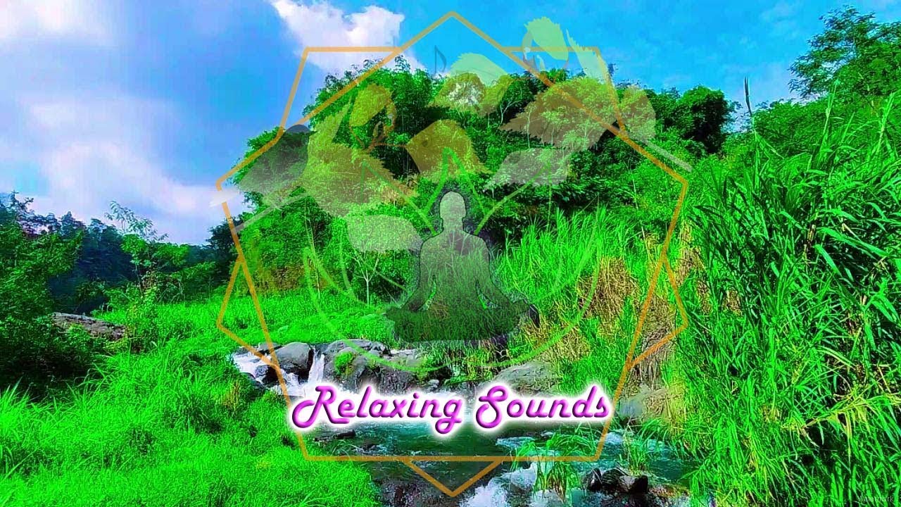 Relaxing Sounds Harmony - Instrumental and Natural Ambience for Stress ...