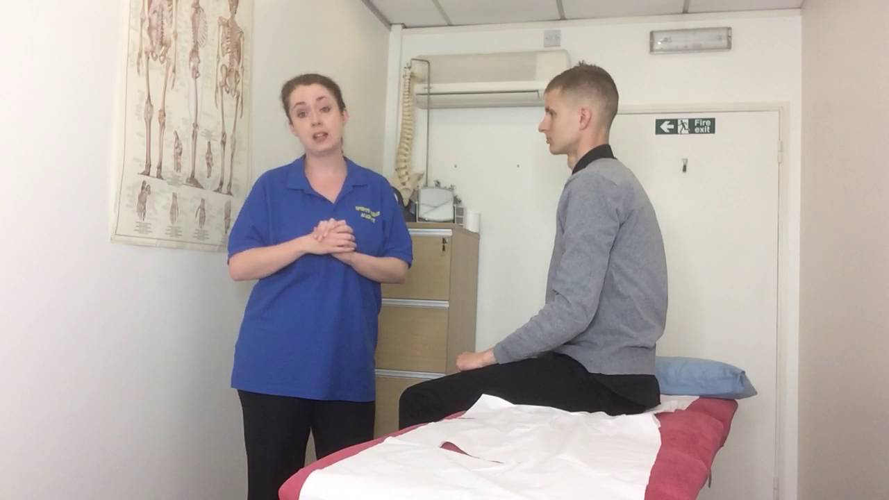 Anatomy corner video 8 - YouTube