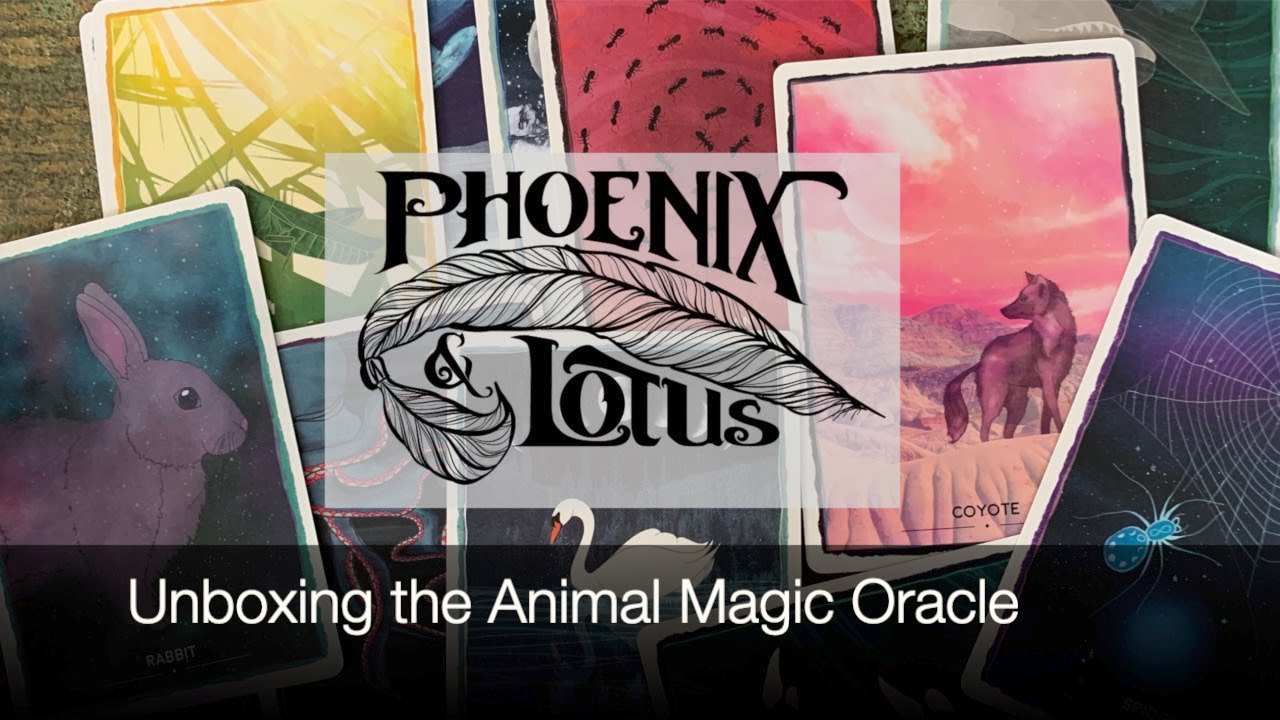 Animal Magic Oracle Cards - YouTube