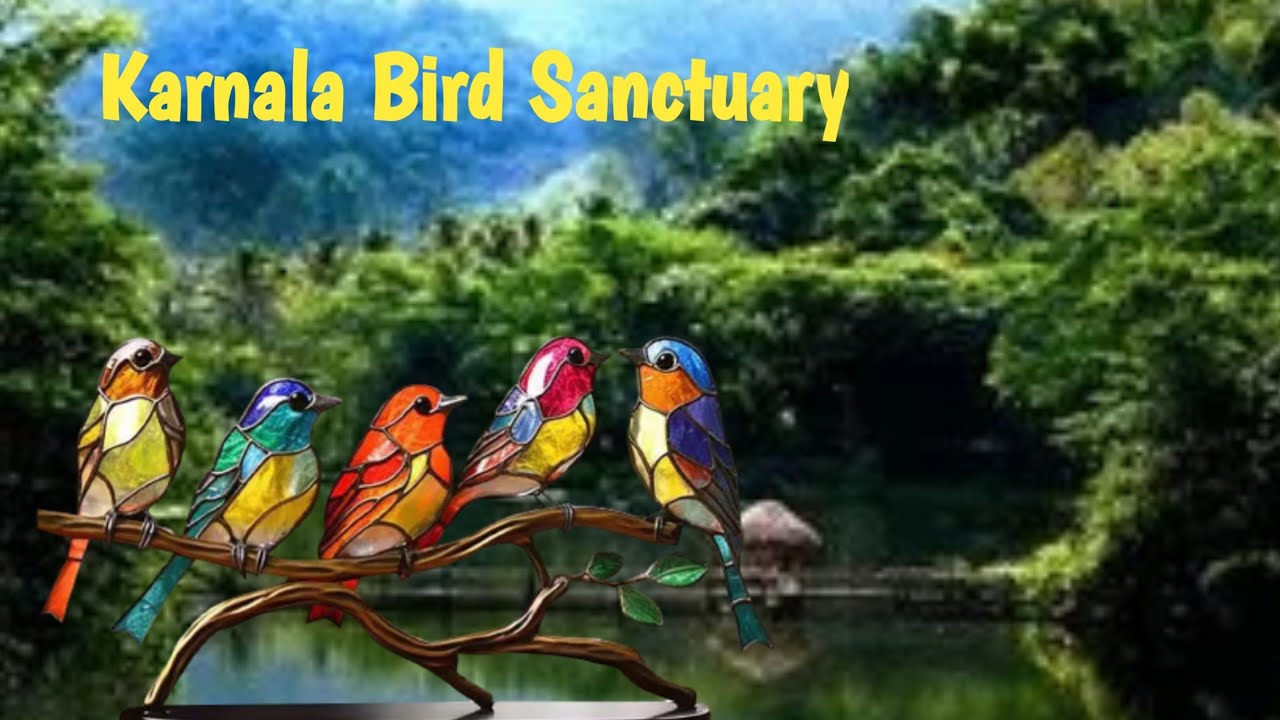 Karnala Bird Sanctuary | Karnala Pakshi Abhayaranya | कर्नाळा पक्षी ...