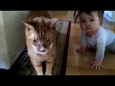 Welcome to the #Fempire, Lucy & Lester! on Lifetime - YouTube