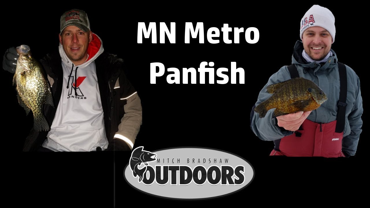 MN Metro Panfish - YouTube