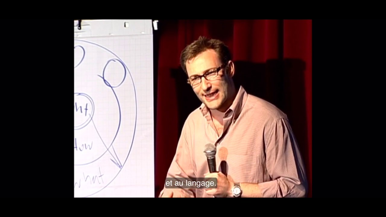 Simon Sinek Why, How, What - YouTube