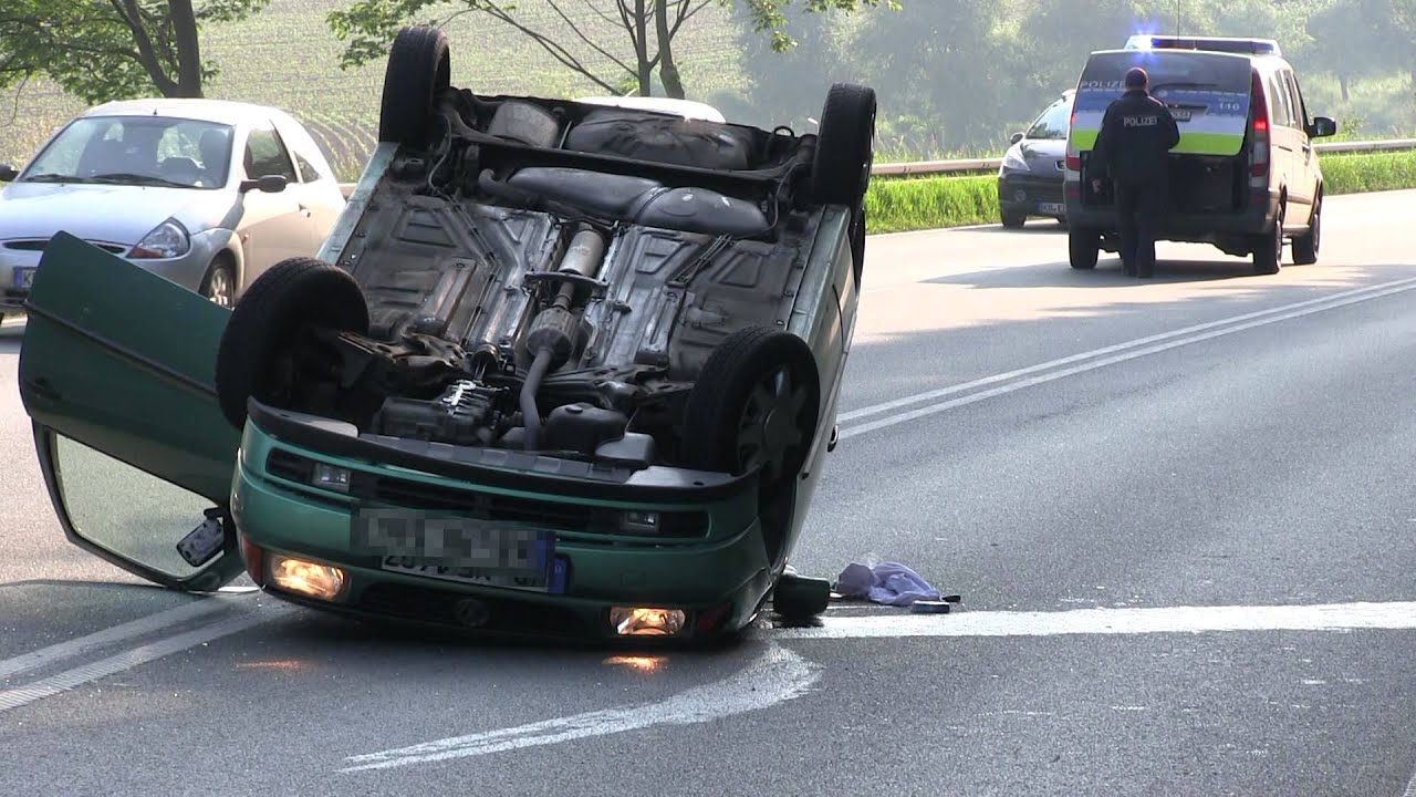 Vogel fliegt gegen Frontscheibe und löst Verkehrsunfall aus - YouTube