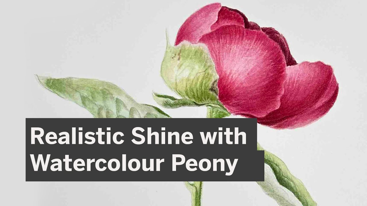 Class Preview - Realistic Shine with Watercolour Peony (Kristine ...