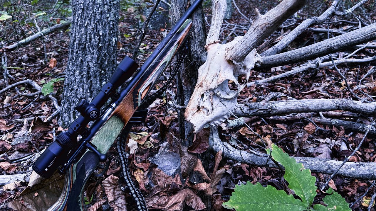 CRAZY DEADHEAD Found While Squirrel Hunting! - YouTube