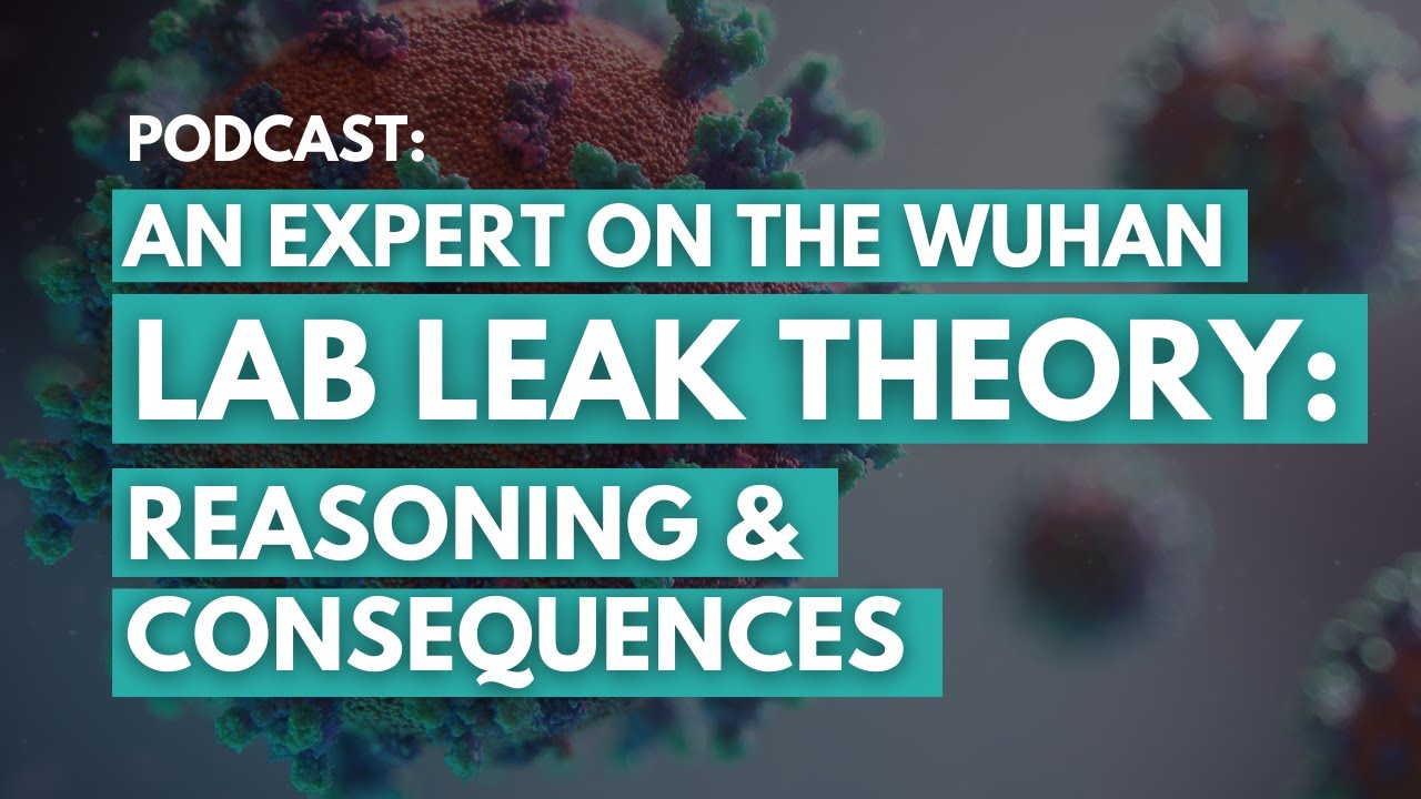 Dr John Hulsman on the Wuhan Lab Leak Theory & Breaking into the ...