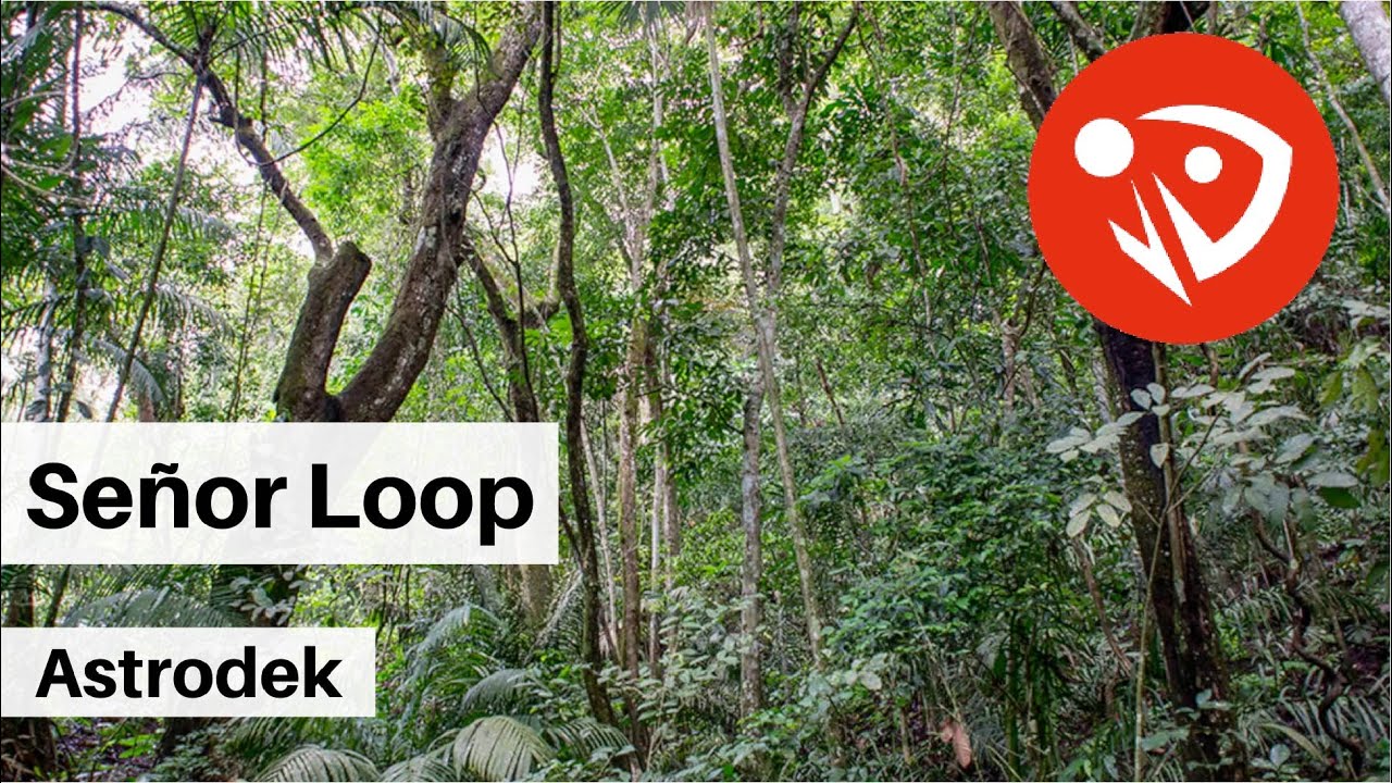 Señor Loop - Astrodek (Audio Oficial) - YouTube