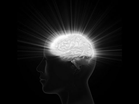 The Divine Brain (Part 2 of 2) - YouTube