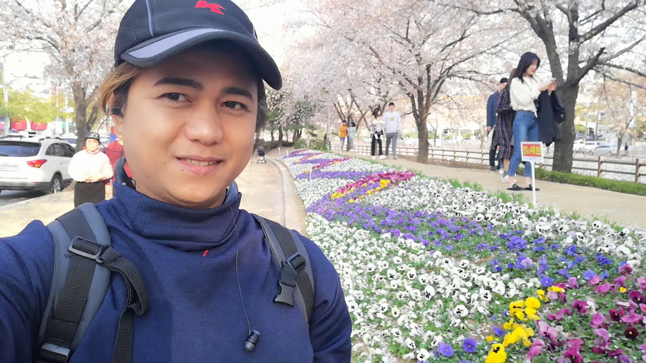 Geumusan Provincial Park Gumi South Korea - YouTube