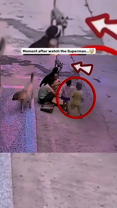 Incredible Reflex Saves Caught On 🤯 Youtube