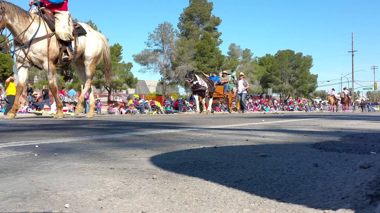 Tucson Rodeo Parade 2015-3 - YouTube