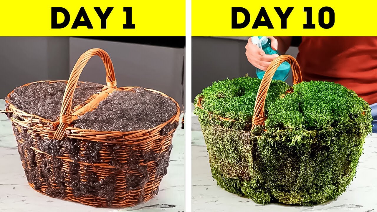 Simple Gardening Hacks to Grow Anything You Want - YouTube
