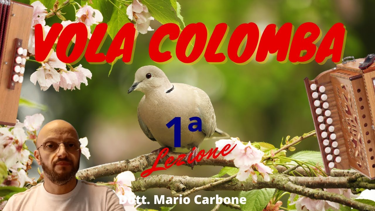 8 bassi - 1a Lezione - VOLA COLOMBA - Organetto - Accordion diatonic ...