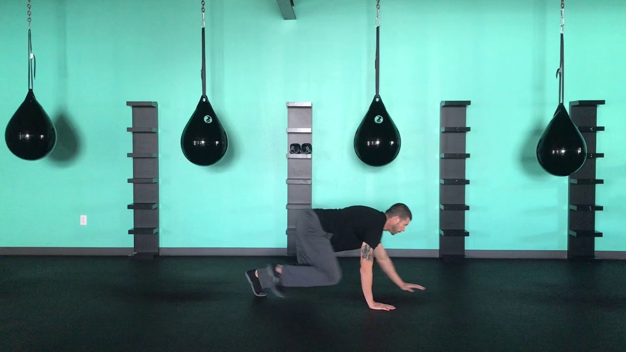 Bear Crawl(Forwards/Backwards) - YouTube