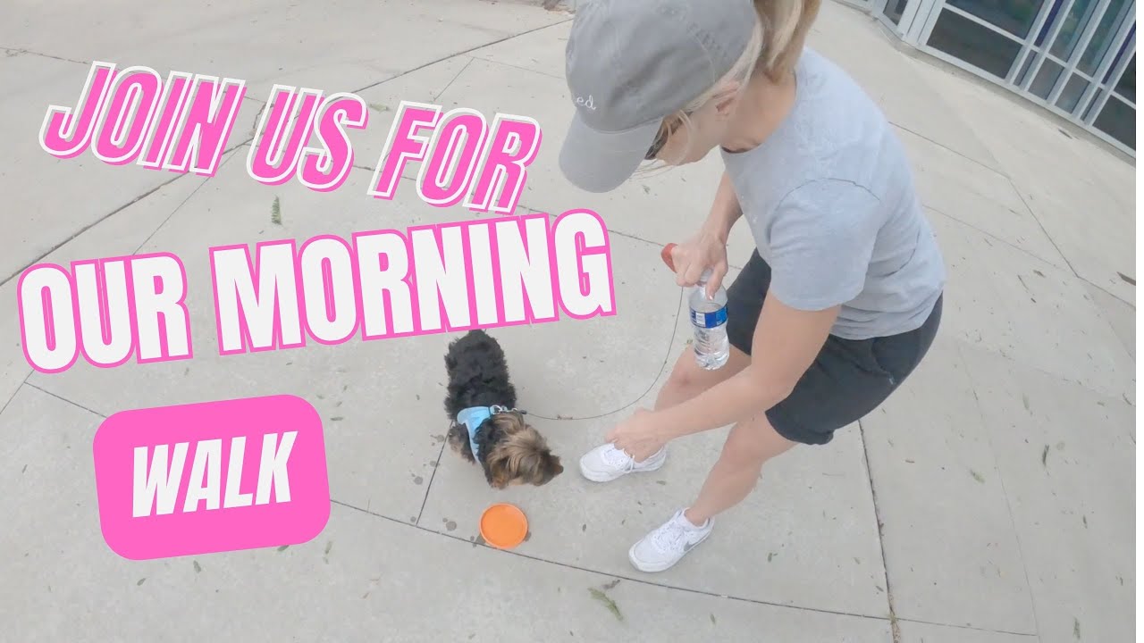 Walk With Me: A Refreshing Walk in Our Neighborhood 🌳🐾 - YouTube