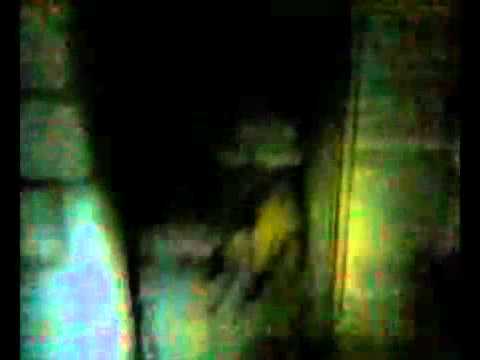 Chupacabra w Polsce-to nie fake - YouTube