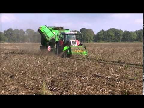 Potato harvest with a Steyr 6150cvt and AVR Accent harvester - YouTube