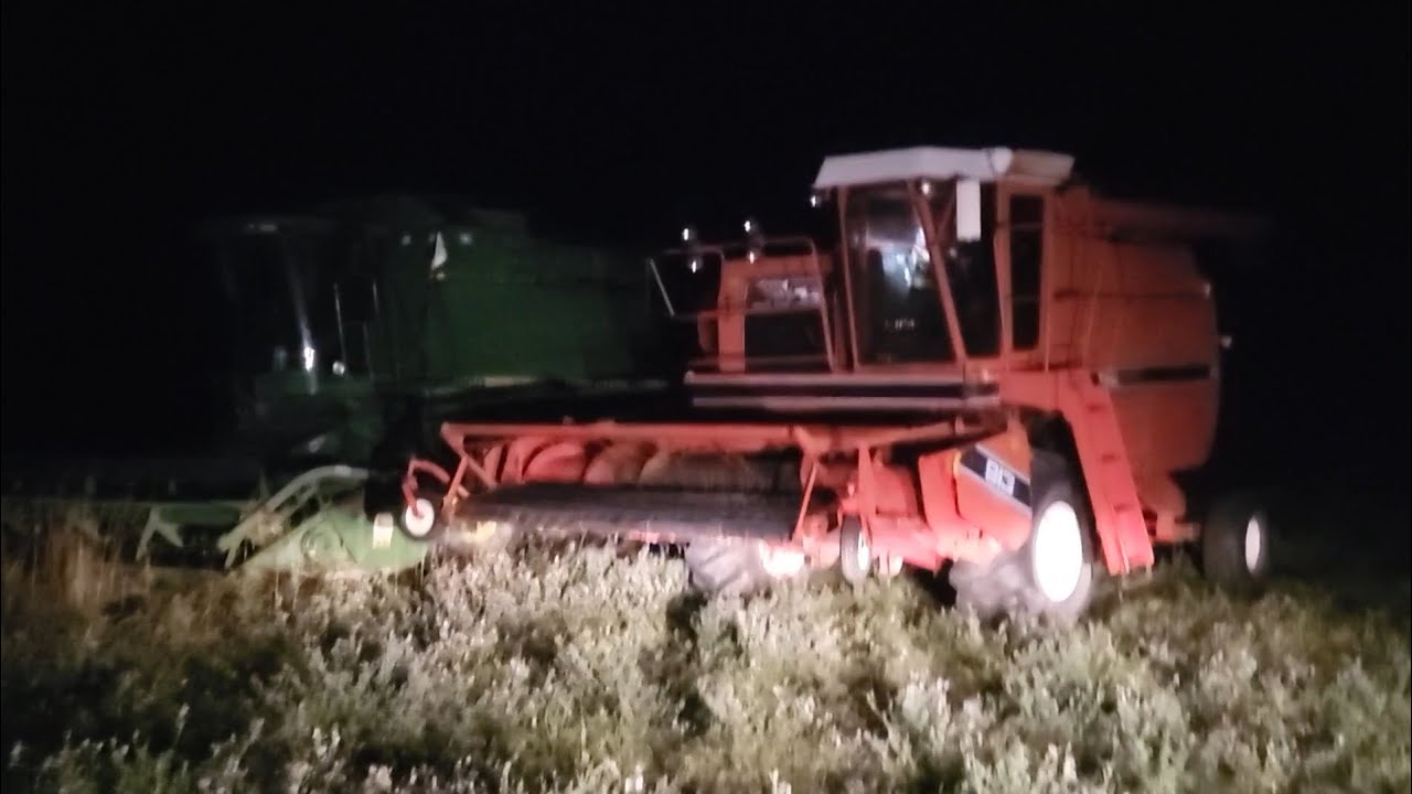 Do I have a treat for you! 1984 8920 White Combine comes home! - YouTube