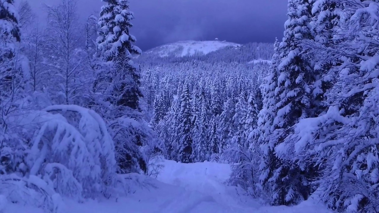 Winter In Bymarka - Erik Borsboom - YouTube