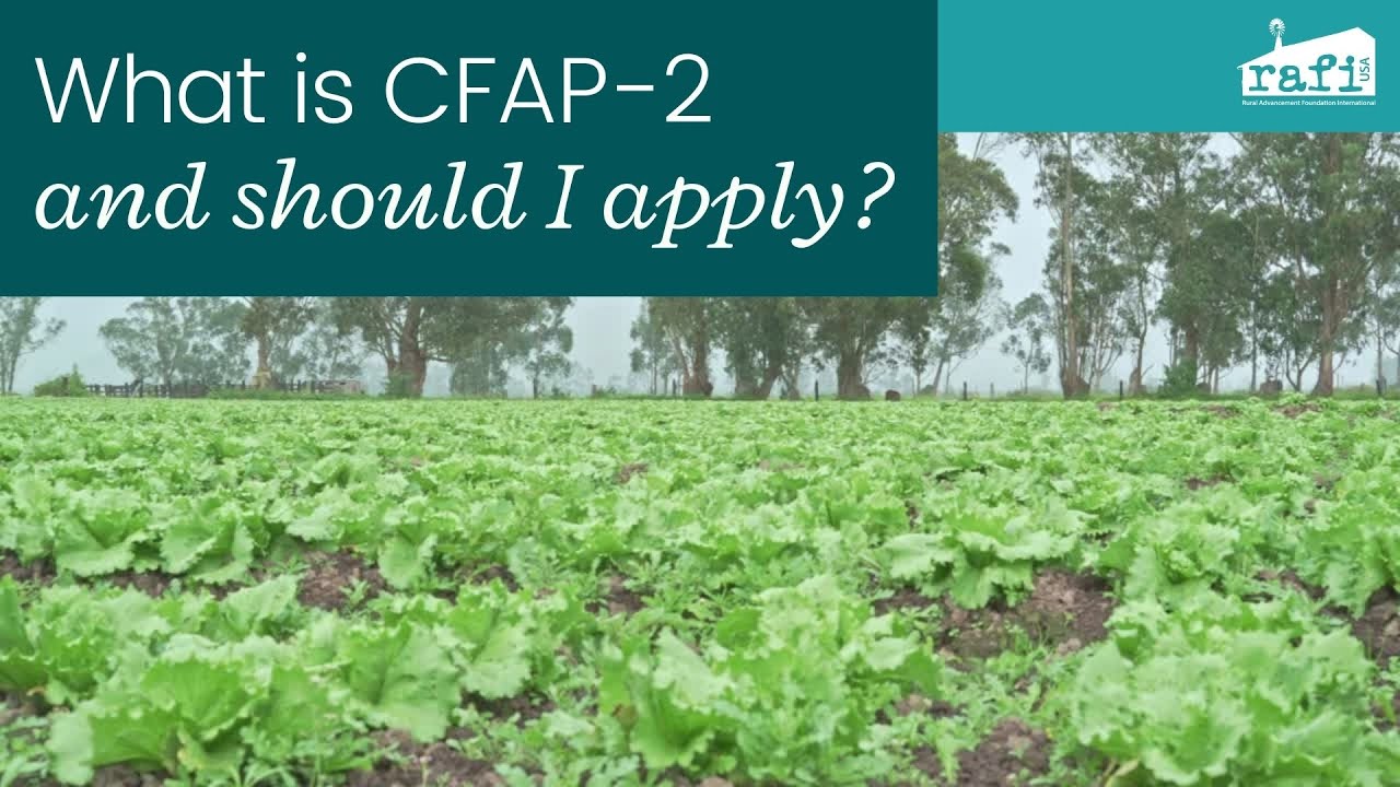 What's CFAP-2 and should I apply: Part 1 of 4 - YouTube