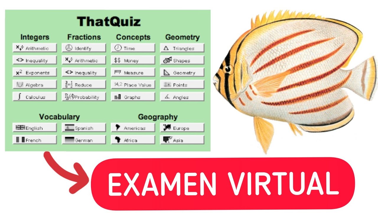 Tutorial de como tomar mi primer examen virtual de Thatquiz. - YouTube