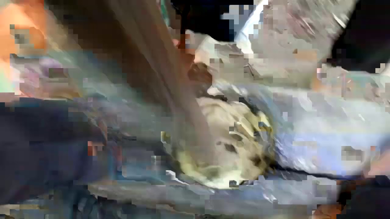 Linopak/Linusak na Saging - YouTube