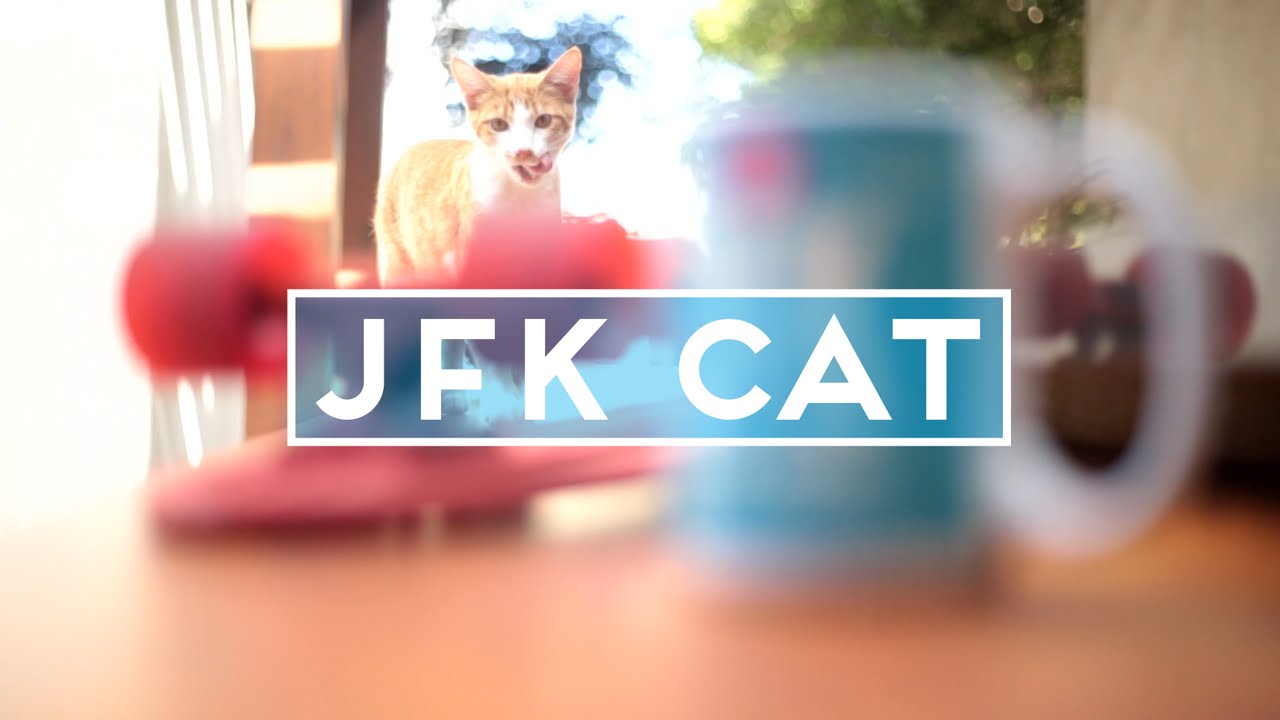 JFK CAT - YouTube