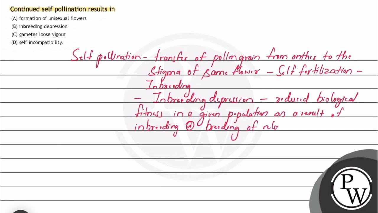 Continued self pollination results in (A) formation of unisexual flowers (B) inbreeding depressi ...