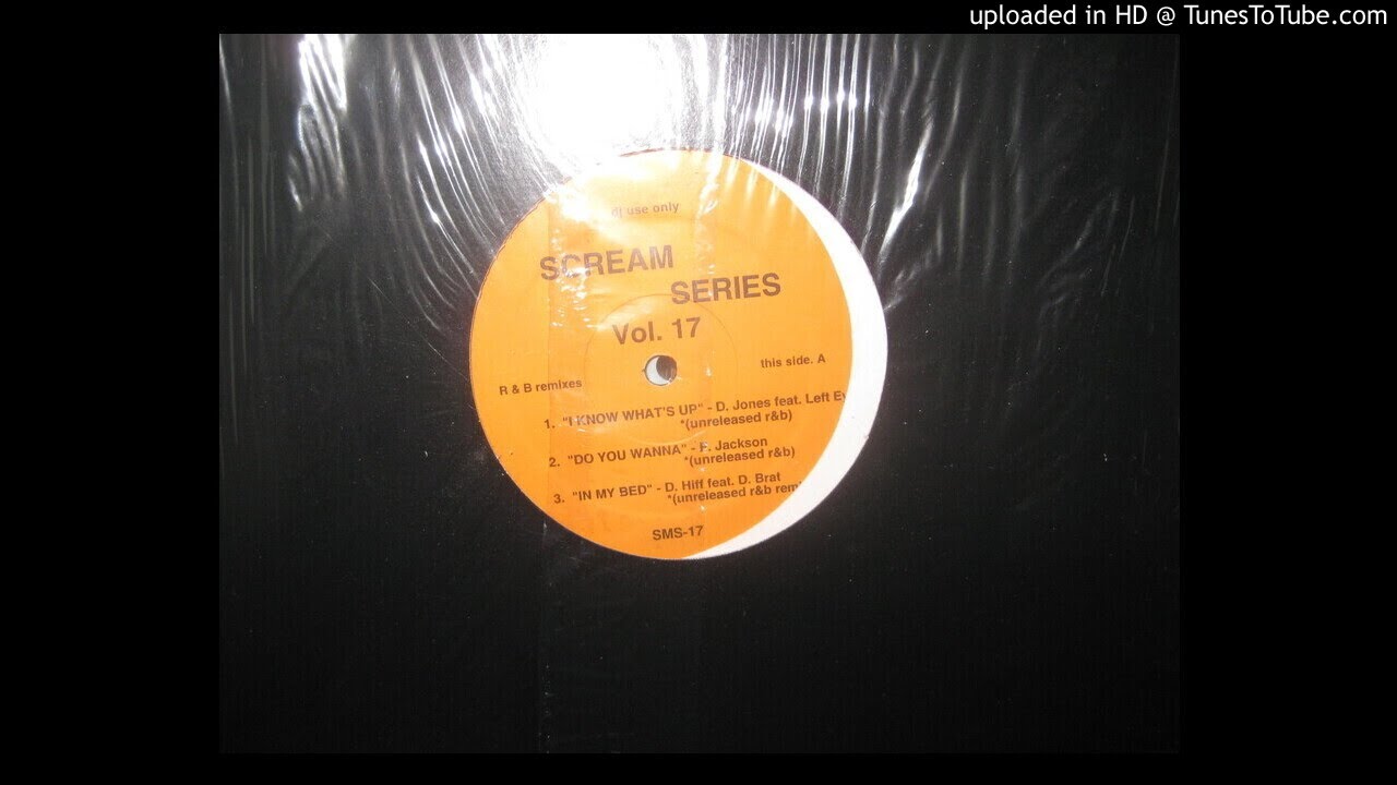 DONELL JONES FEAT LISA LEFT EYE i know what s up ( unreleased r & b ...