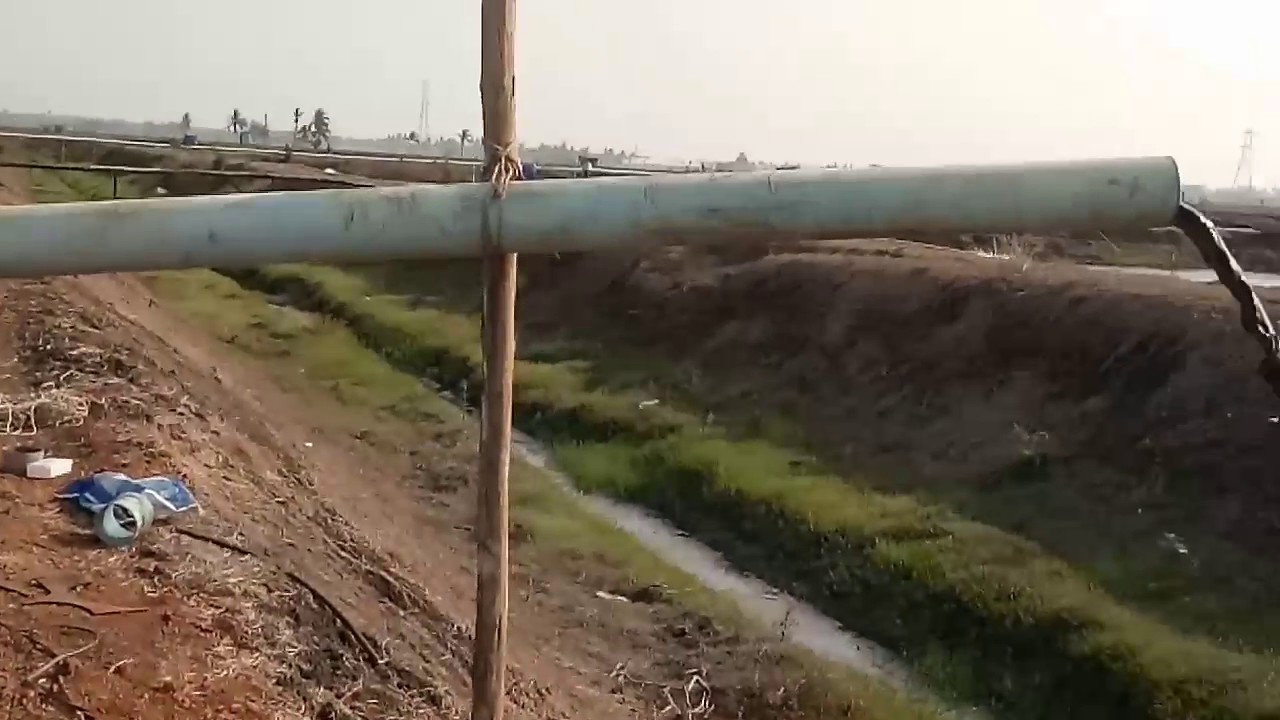 Sludge removal from shrimp ponds - YouTube