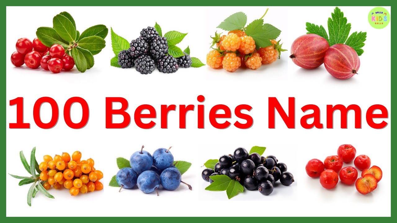 Different Types Of Berries