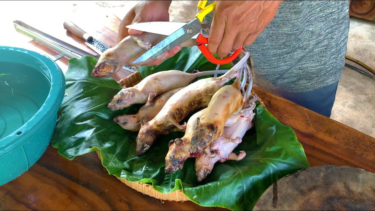 How to Cook Mouse Delicious - YouTube