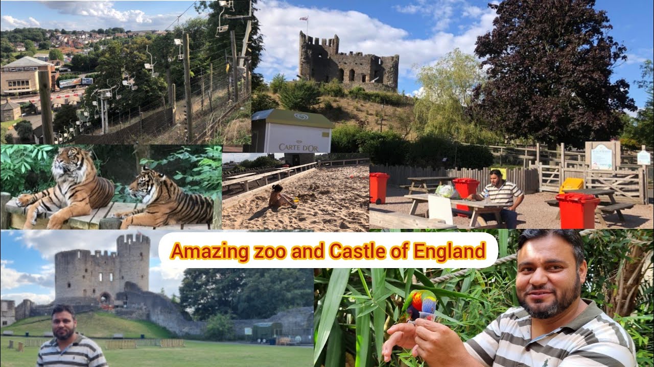 visit to Dudley Zoo and Castle / amazing zoo of England 🇬🇧 /Birmingham ...