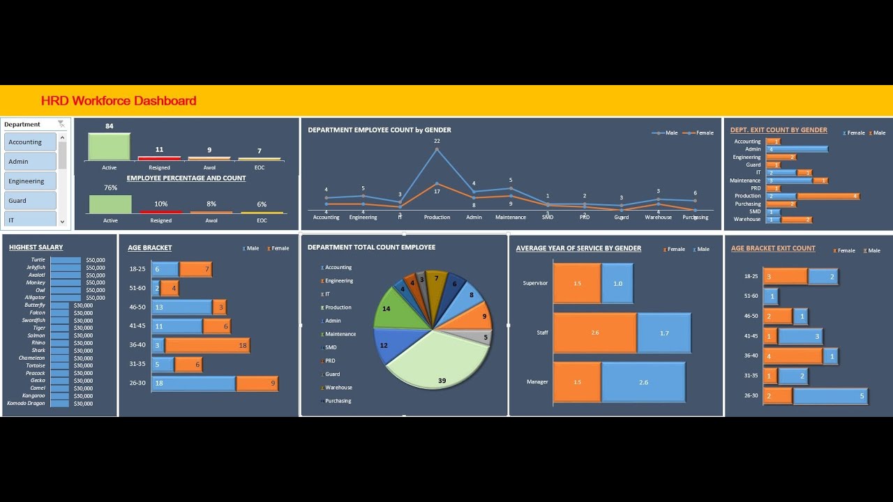 Human Resource Interactive Workforce Dashboard - YouTube