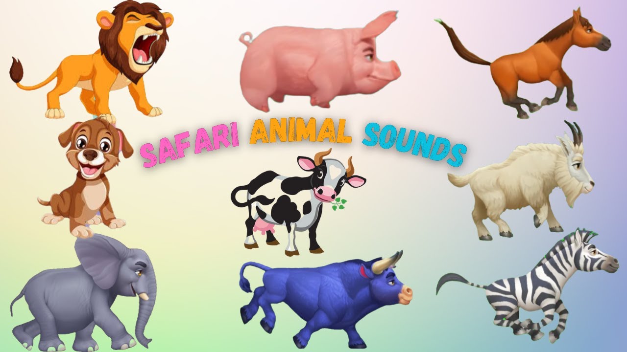 Safari & Zoo Animal Sounds Song 🐘🦁 | Fun Learning for Toddlers ...