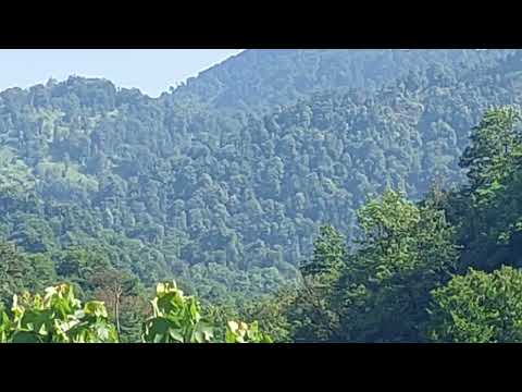 Masallı İsti Su dağlarından qısa görüntü