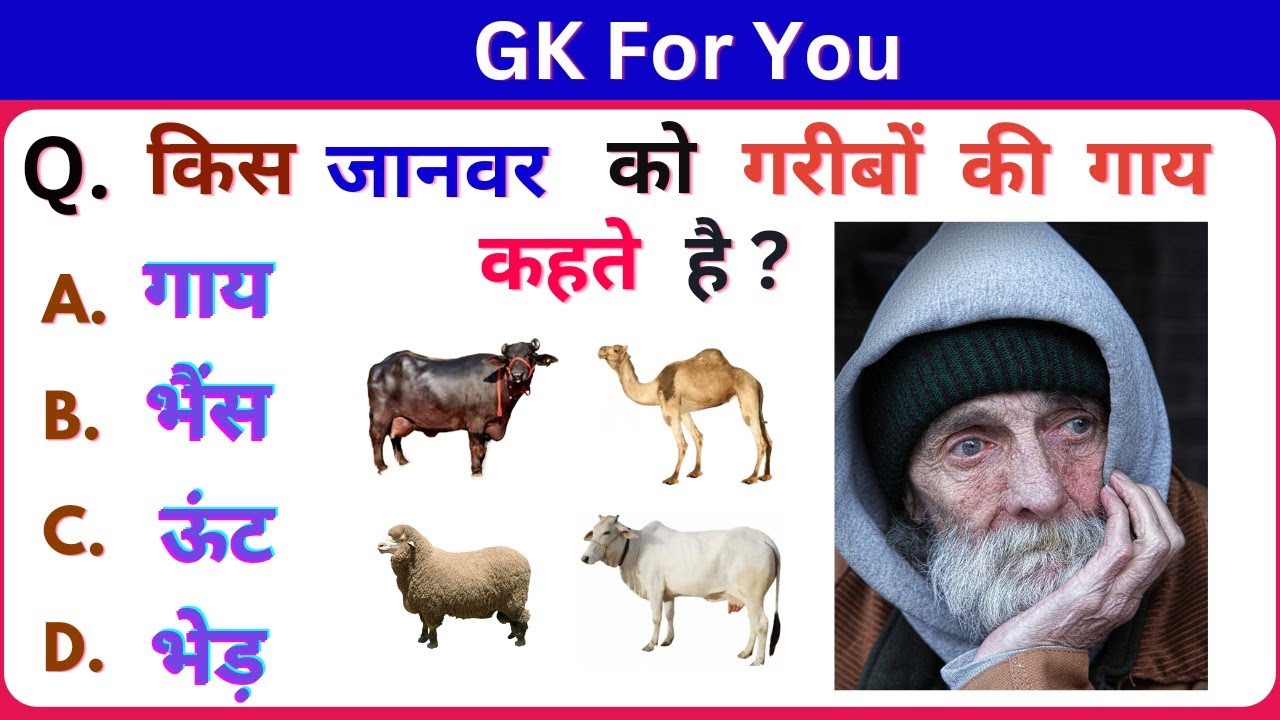 General Knowledge Question And Answer | G K Quiz | GK ka Question | Gk ...
