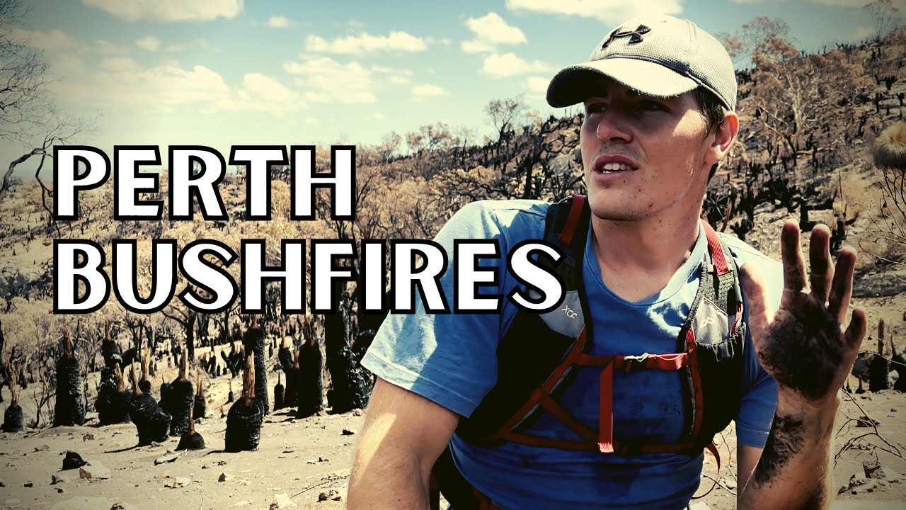 First hand look at the Perth Hills Bushfire aftermath - 10,000 ...