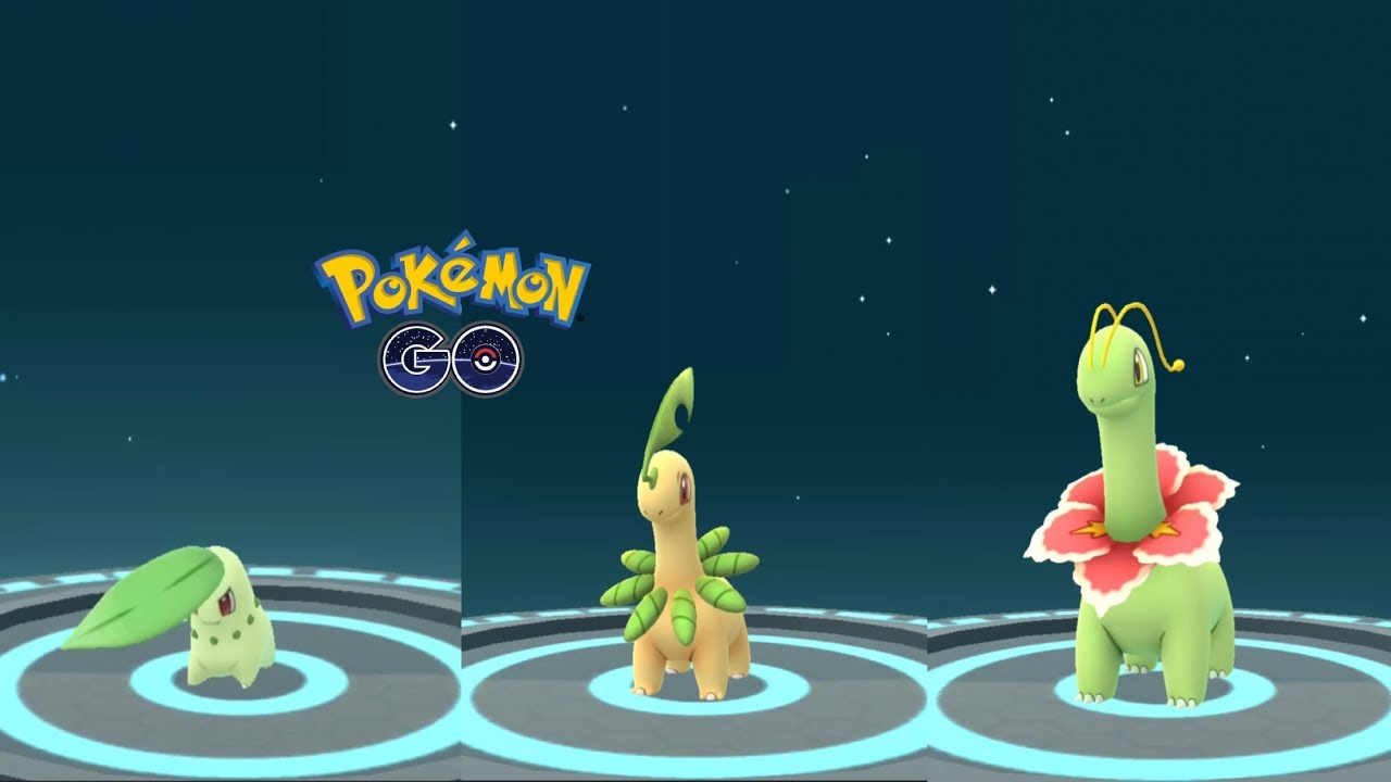 Chikorita, Bayleef, Meganium Evolution - Pokémon GO - YouTube