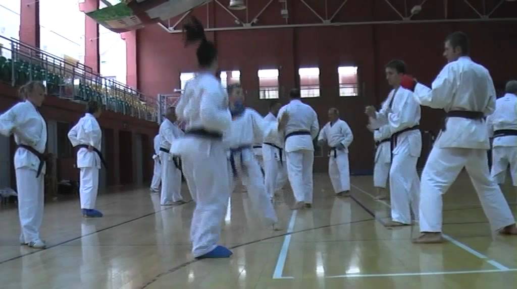 Letni Staż Karate z Shihan Giuseppe Beghetto -- 8 DAN: cz. 2 - YouTube