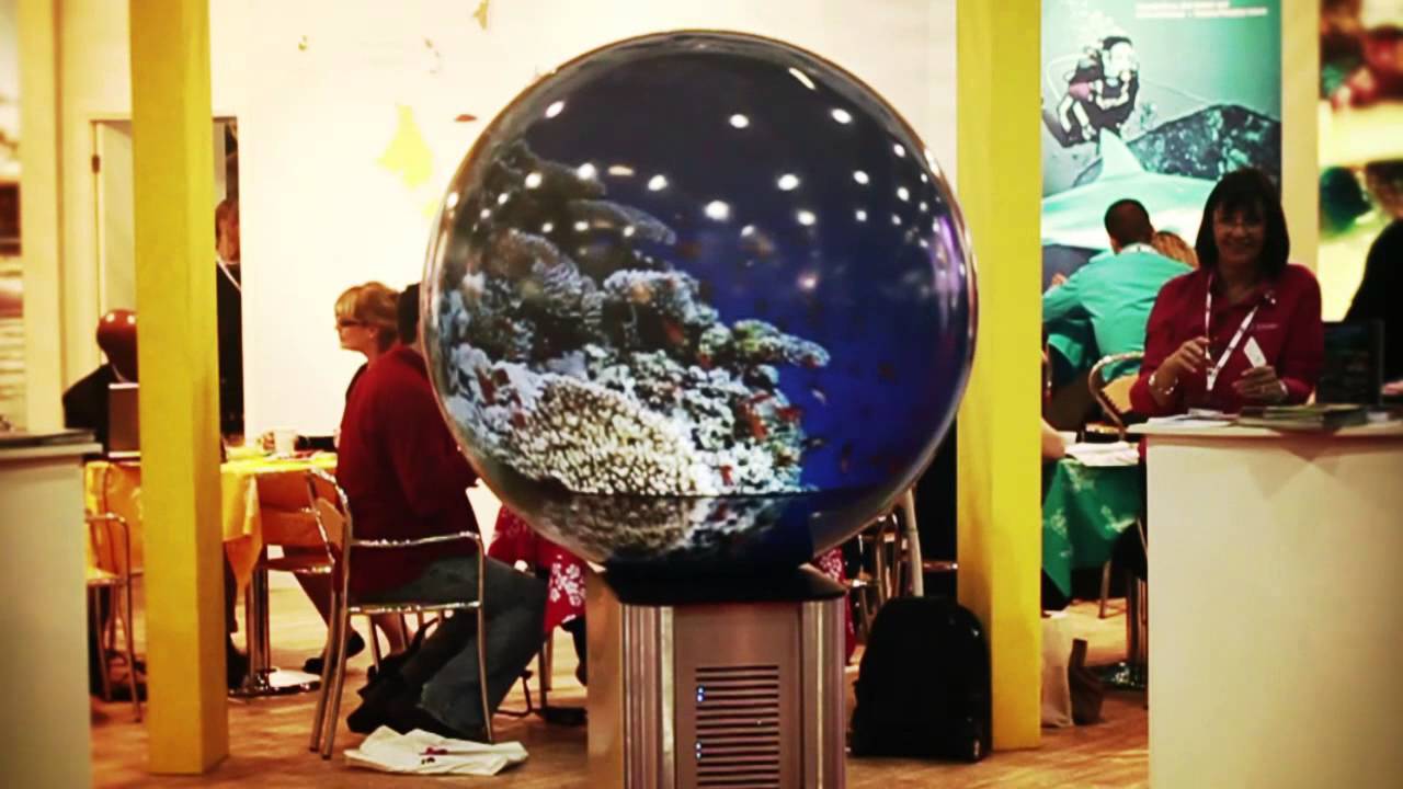 Pufferfish - Bahamas Tourist Board - World Travel Market 2012 - YouTube