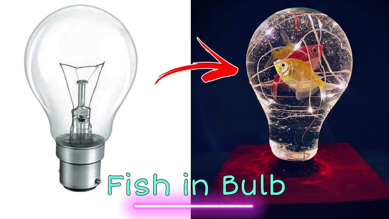 Fish in Bulb 🐠 | Aquatic innovation💡|#fishinbulb #beforeafter # ...