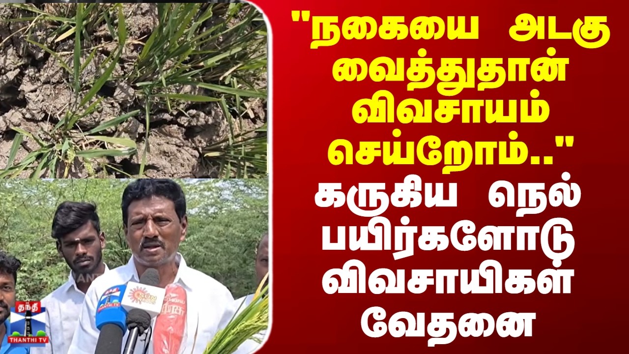 Paramakudi | Farmers | "நகையை அடகு வைத்துதான் விவசாயம் செய்றோம் ...
