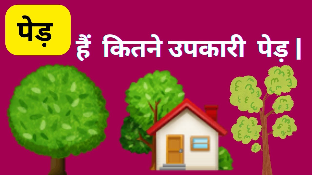 Ped (Tree) | पेड़ | Short Hindi Poem|🌳🏡 | - YouTube