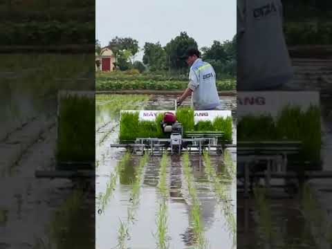 mesin tanam padi vietnam super cepat,produk terbaik , ready stok