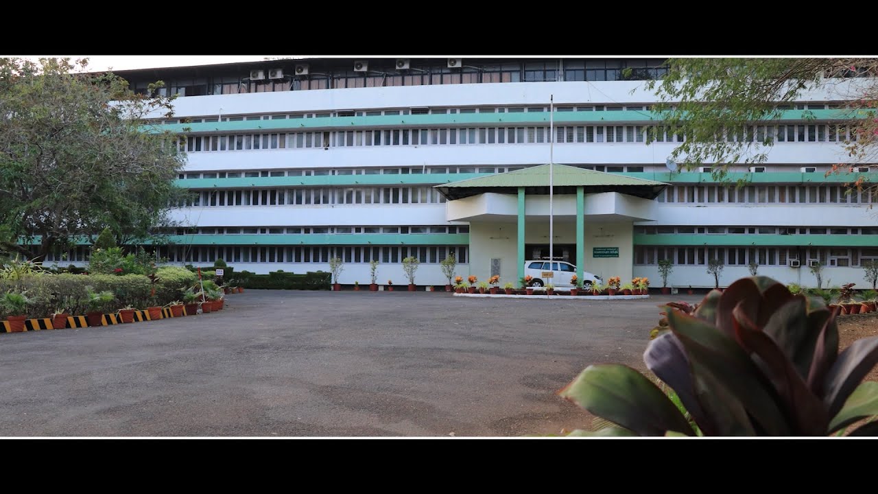 KAU AT A GLANCE - YouTube